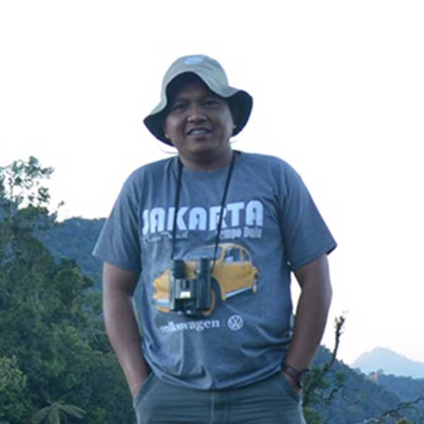 Ali Munthaha | Indonesia Birding Tours