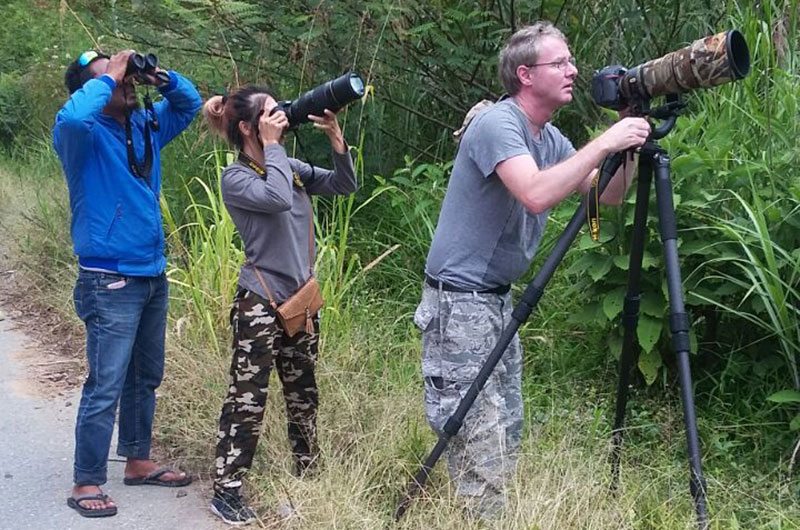 Tangkoko Nature Reserve and Lore Lindu National Park Birding Tours ...