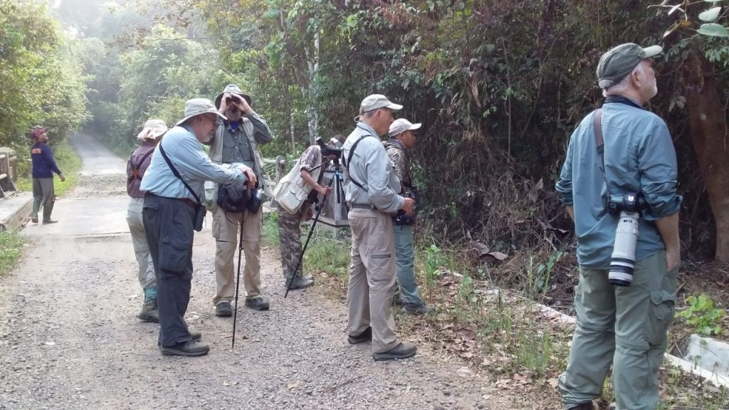 Peter Roberts Birding Tours to Gunung Gede on West Java and Kerinci ...